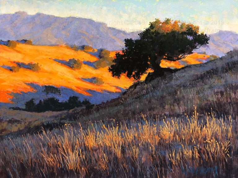 David Wolfram | Rejoice in Art!